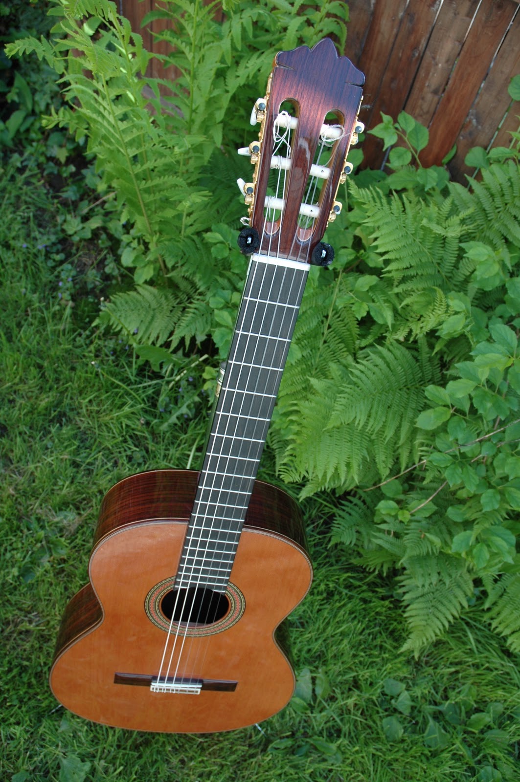 Buck Curran - symbols & artifacts: Spanish Made Cedar Top Classical ...