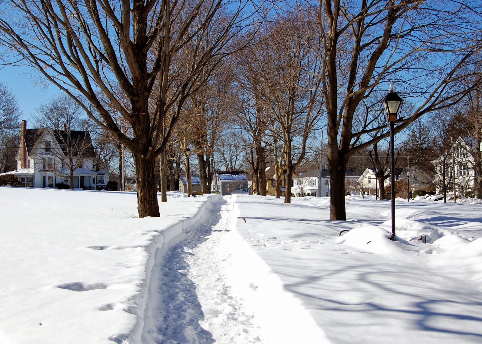 Franklin Matters: Franklin in the snow