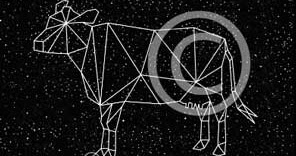 mike joos art: Cow Constellation
