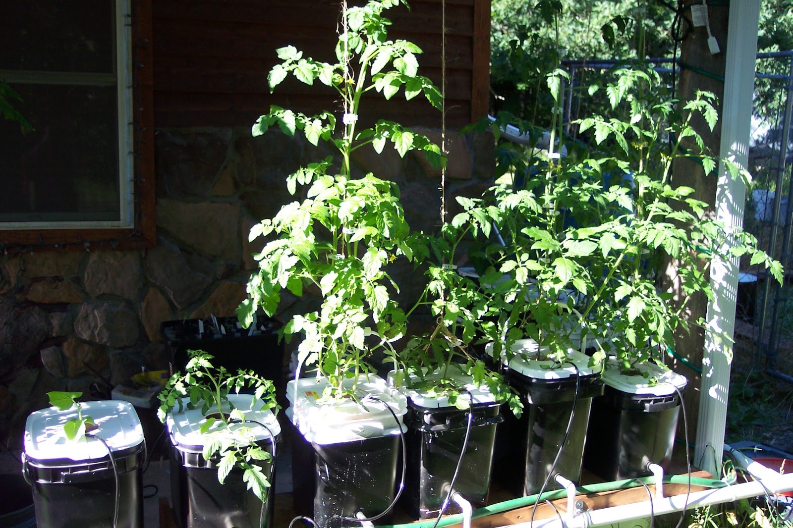 Almost Heaven Hydroponics