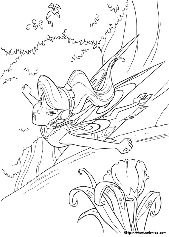 Tinkerbell Vidia Coloring Page