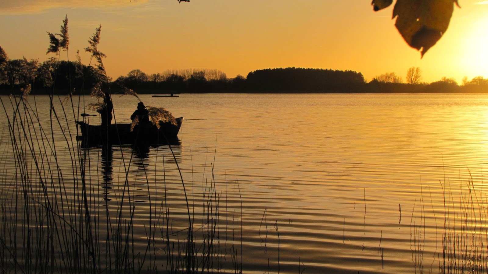 Norfolk Wildlife Trust: Reminiscence and the Wild
