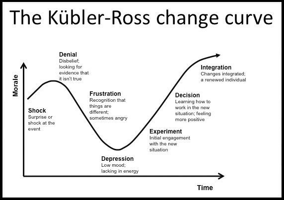 What Next?: Managing Change - Change Curve