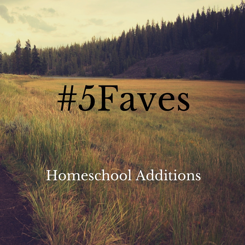 Veils and Vocations: Five Favs: Homeschool Additions