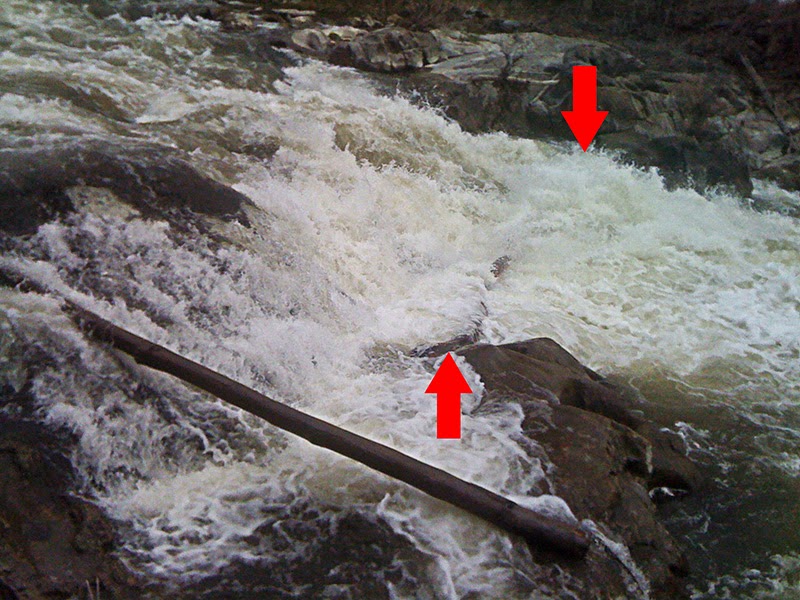 Total Whitewater Fun: Log across main drop in Stairway Rapid (Bulls Bridge)
