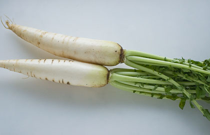 White Radish - Fruits And Vegetables