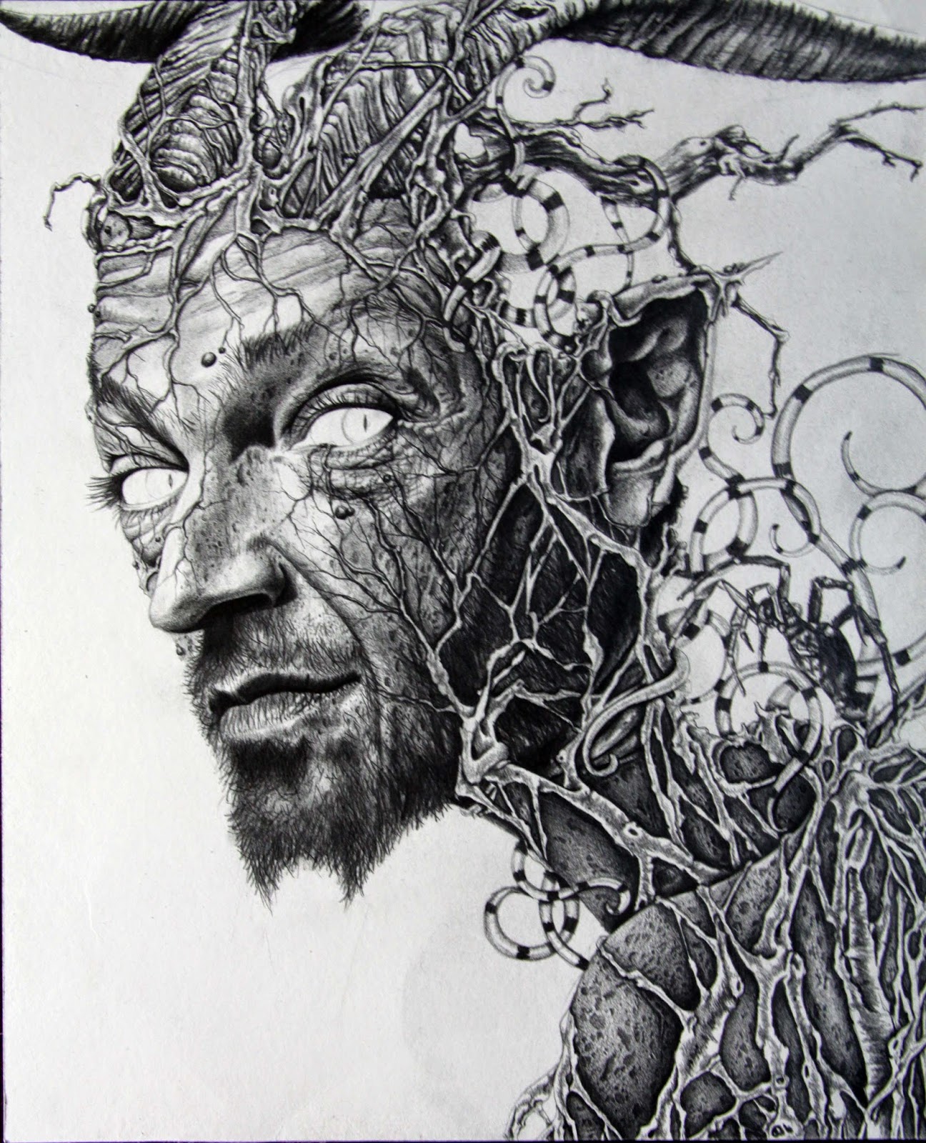 David Menendez: PROCESO DE UN DIBUJO