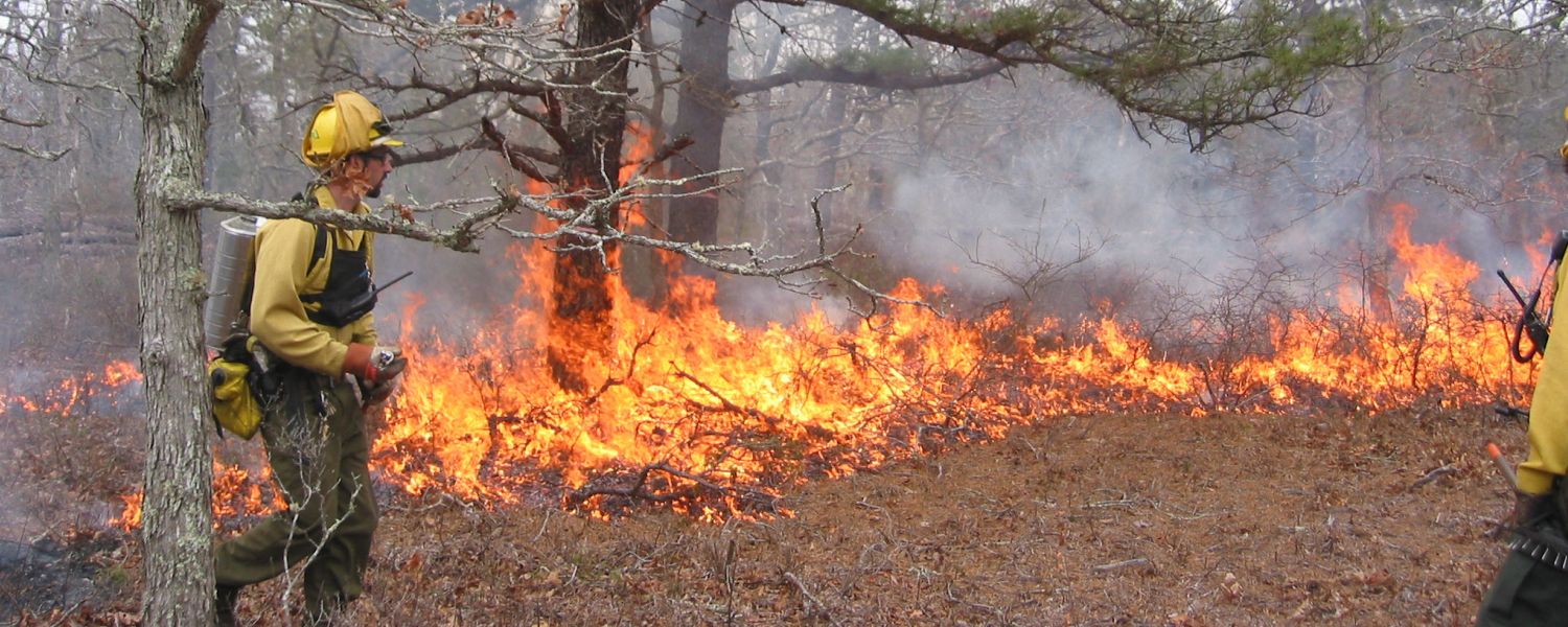 Environmental Geography: Wild Fire Anniversary