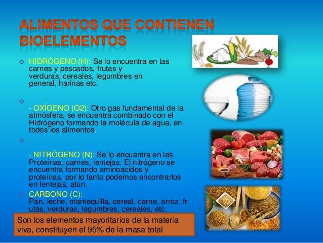 BIOELEMENTOS: Los Bioelementos básicos en la vida