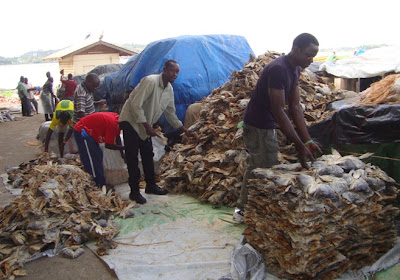 Unique Entertainment Blog: SOKO LA SAMAKI MWALONI JIJINI MWANZA