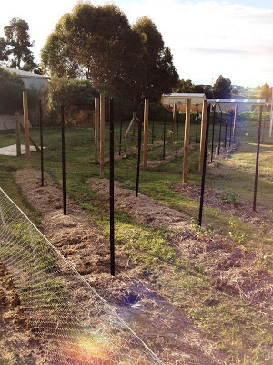 My Big Backyard: Vermin-proof fence