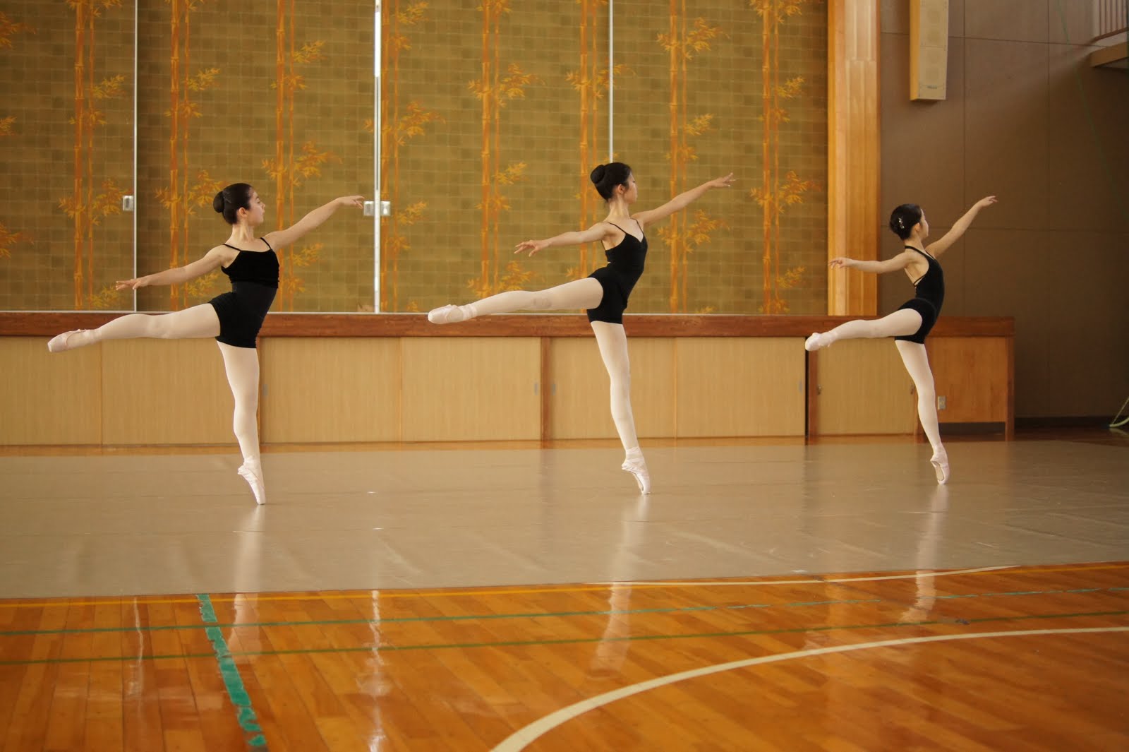 Hana and Maya: Ballet Practice