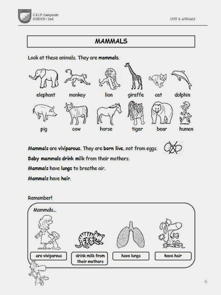 We are learning English: Cuadernillo bilingüe "animals". 2º de Primaria