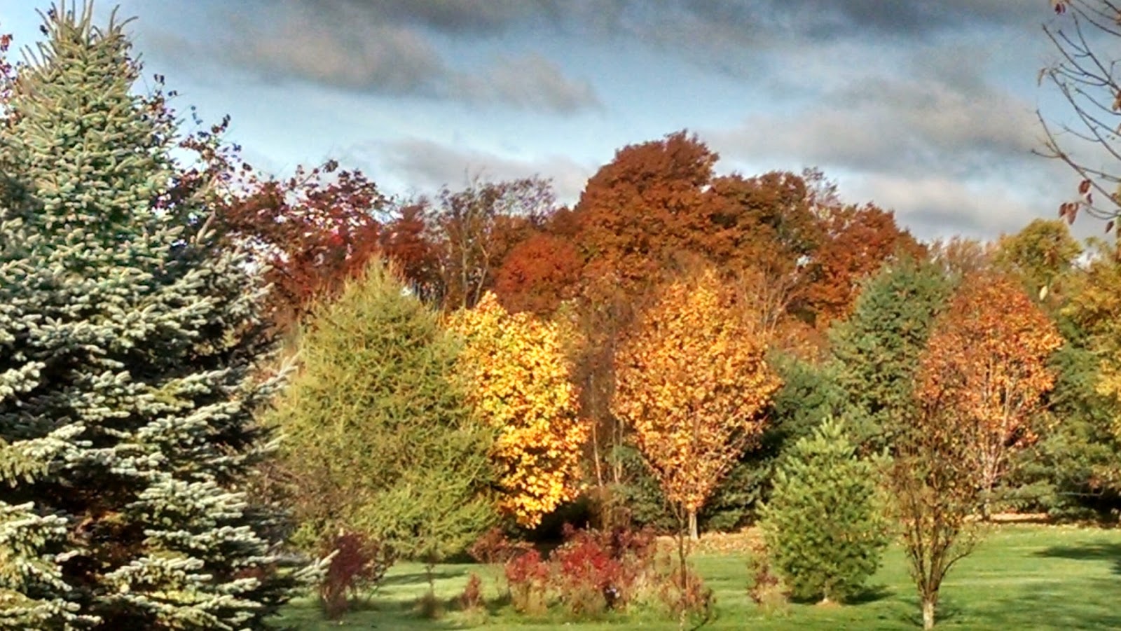 A View from the North Coast: Near the Peak of Fall Color in Northeast Ohio