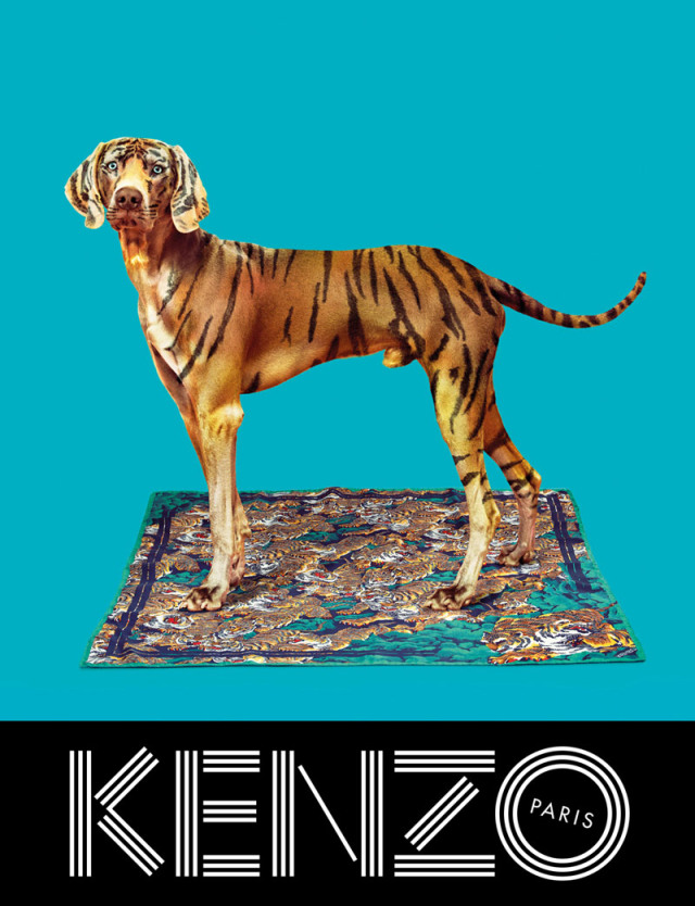 Kenzo Fall/Winter 2013 Campaign featuring Rinko Kikuchi and Sean O'Pry‏