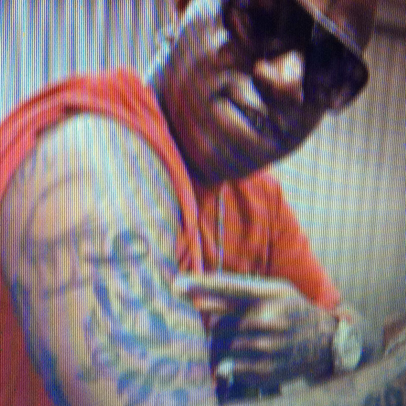 THE BLACK SOCIAL HISTORY:: BLACK SOCIAL HISTORY : AFRICAN AMERICAN ...