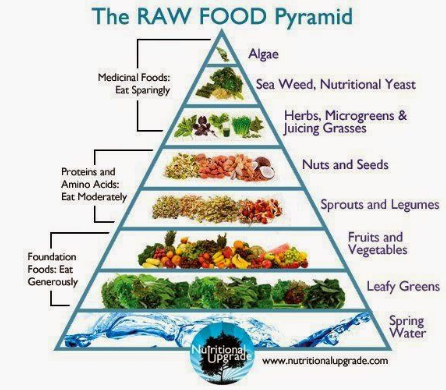 Evolution of Eating Healthy - Health and Fitness