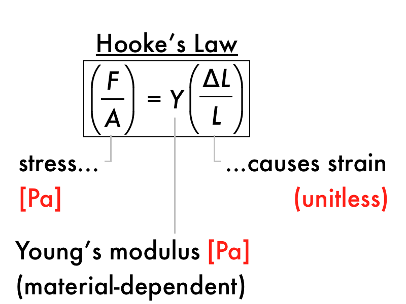 P-dog's blog: boring but important: Physics presentation: elasticity