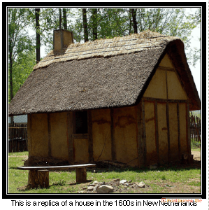 644. ANTHONY JANSEN VAN SALLEE, ancestor, and son of the Pirate King