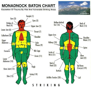 Thai Self-Defense: Target Area of Baton Strike