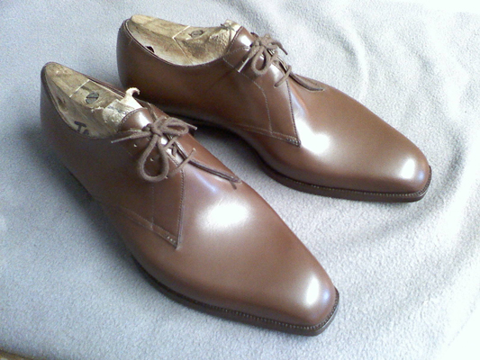 The Shoe AristoCat: Eric Cook English bespoke shoemaker