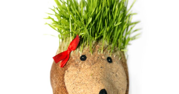 Grass Heads for Kids