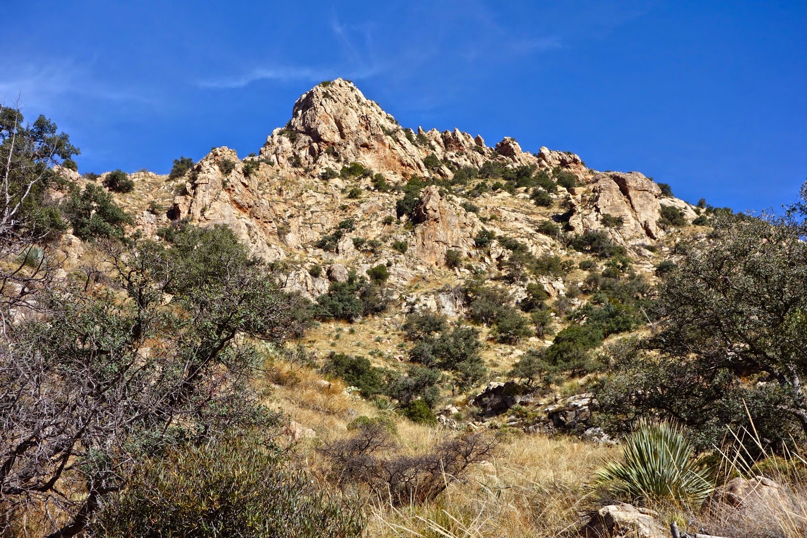 Earthline: The American West: Mount Kimball, 7,258': Pima Canyon to ...