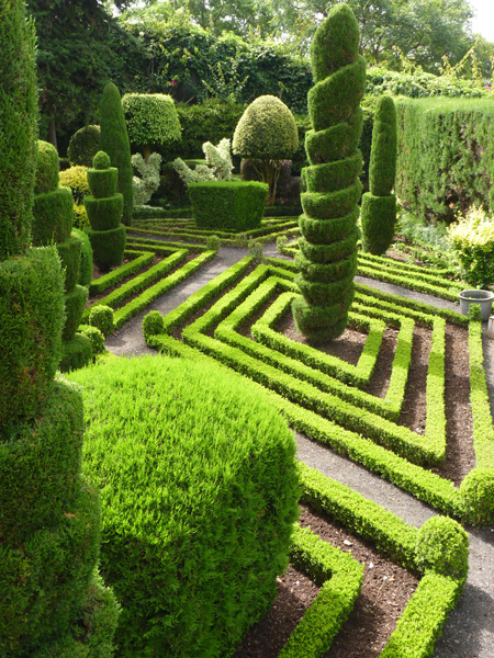 Lo que veo en el mundo: Jardines geométricos