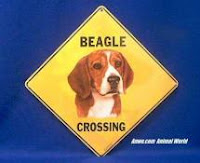 Beagle Crossing Sign is Dog Warning Signs Function and Fun | Animal Gifts