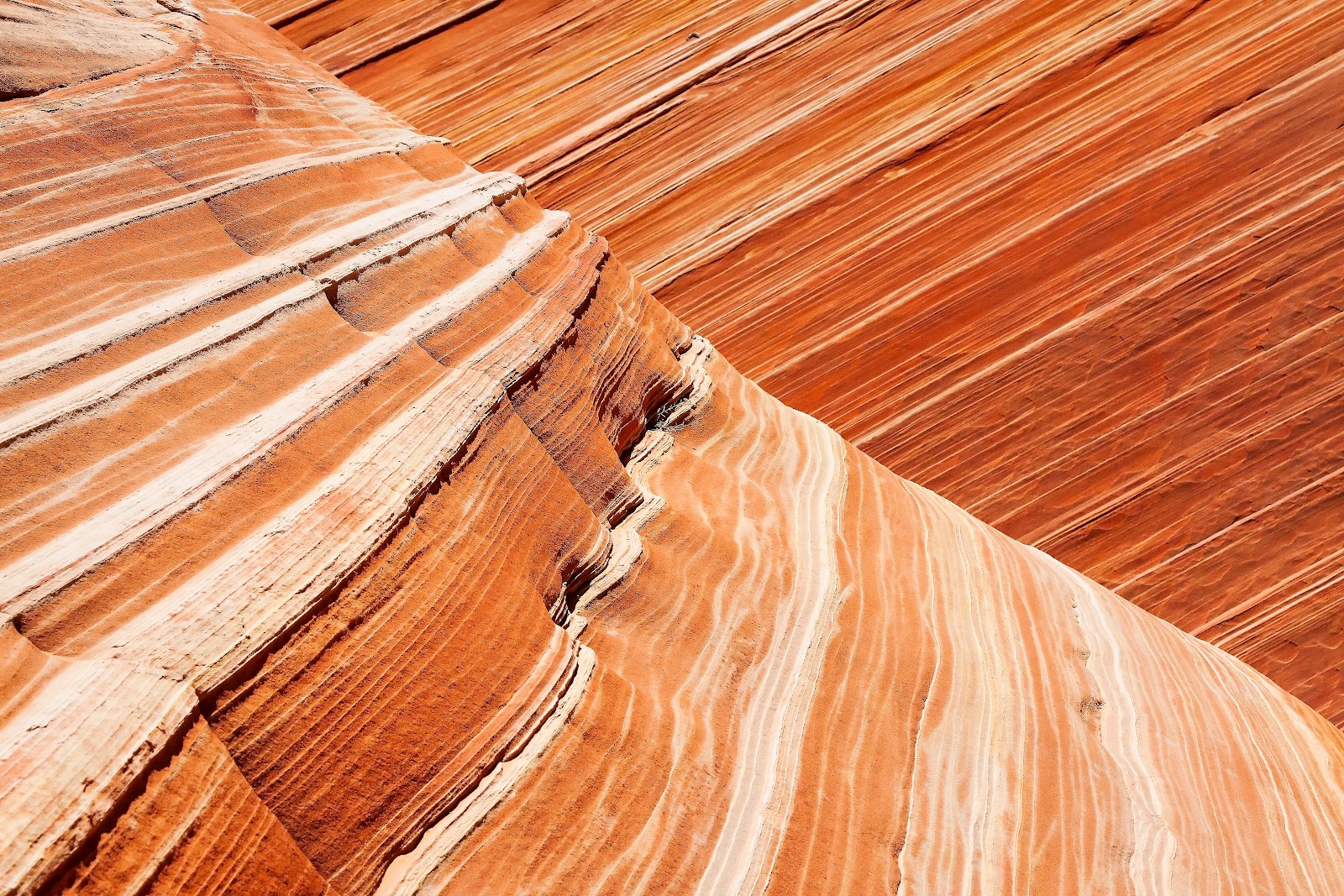 View from the Exerda: Eight Miles in the Mid-day, Mid-June Desert Heat ...