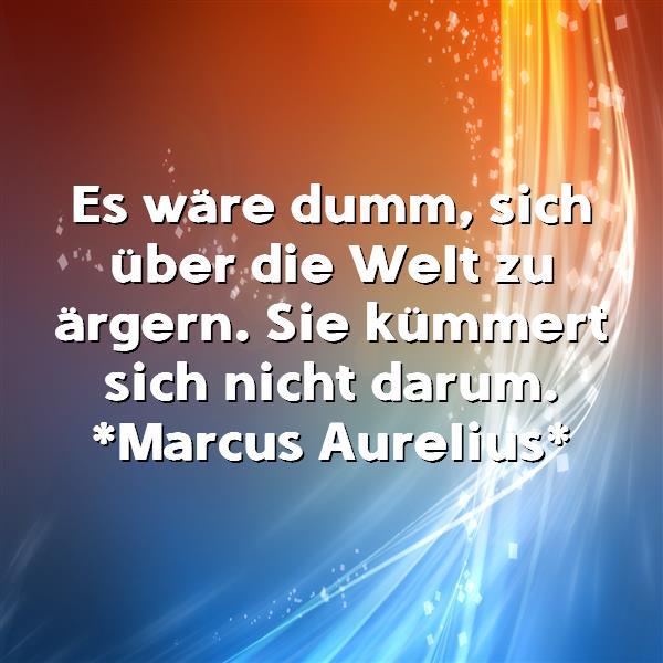 zitate schule | zitate glück