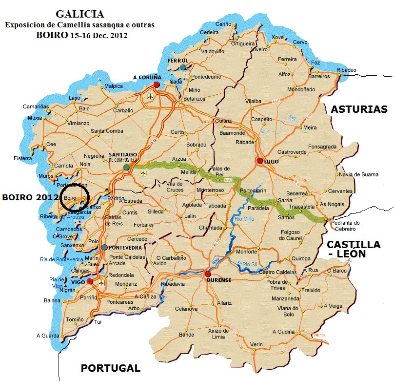 Sociedad Española de la Camelia