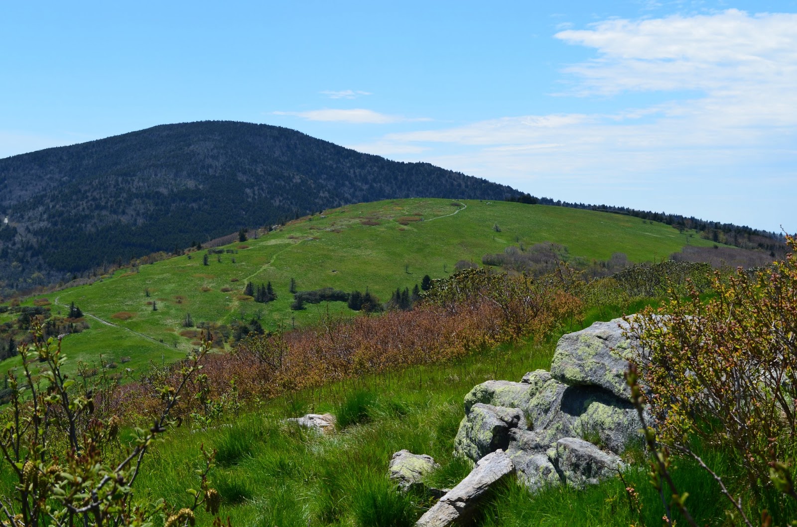 Mac Alasdair: Grassy Ridge in the Roan Highlands