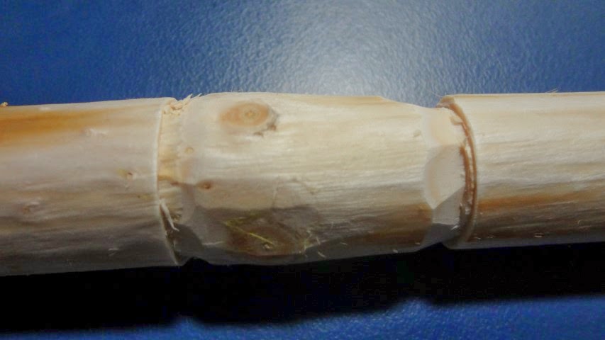 "Try Stick" ~ | Bushcraft Berg