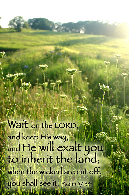 Jesus Daily 2 You : Feb 11 - The Difficult Path