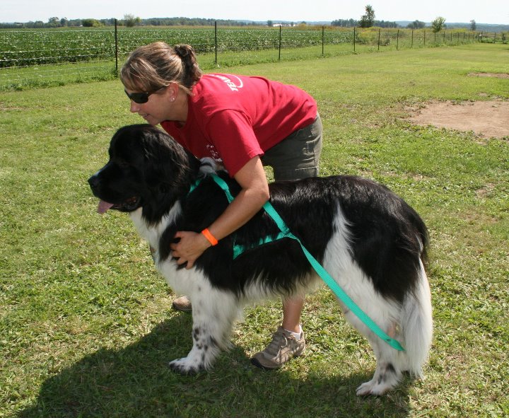 Team Sashas: Weight Pulling Fun!