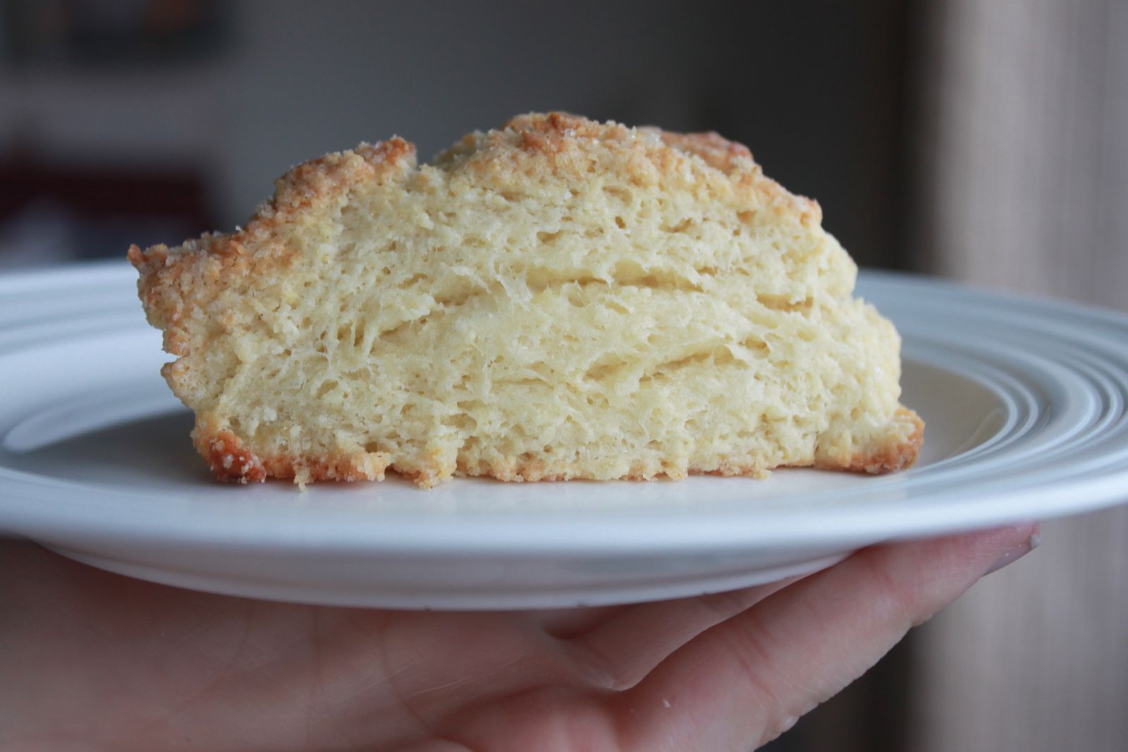 Domestic Revolt: Yogurt Scones