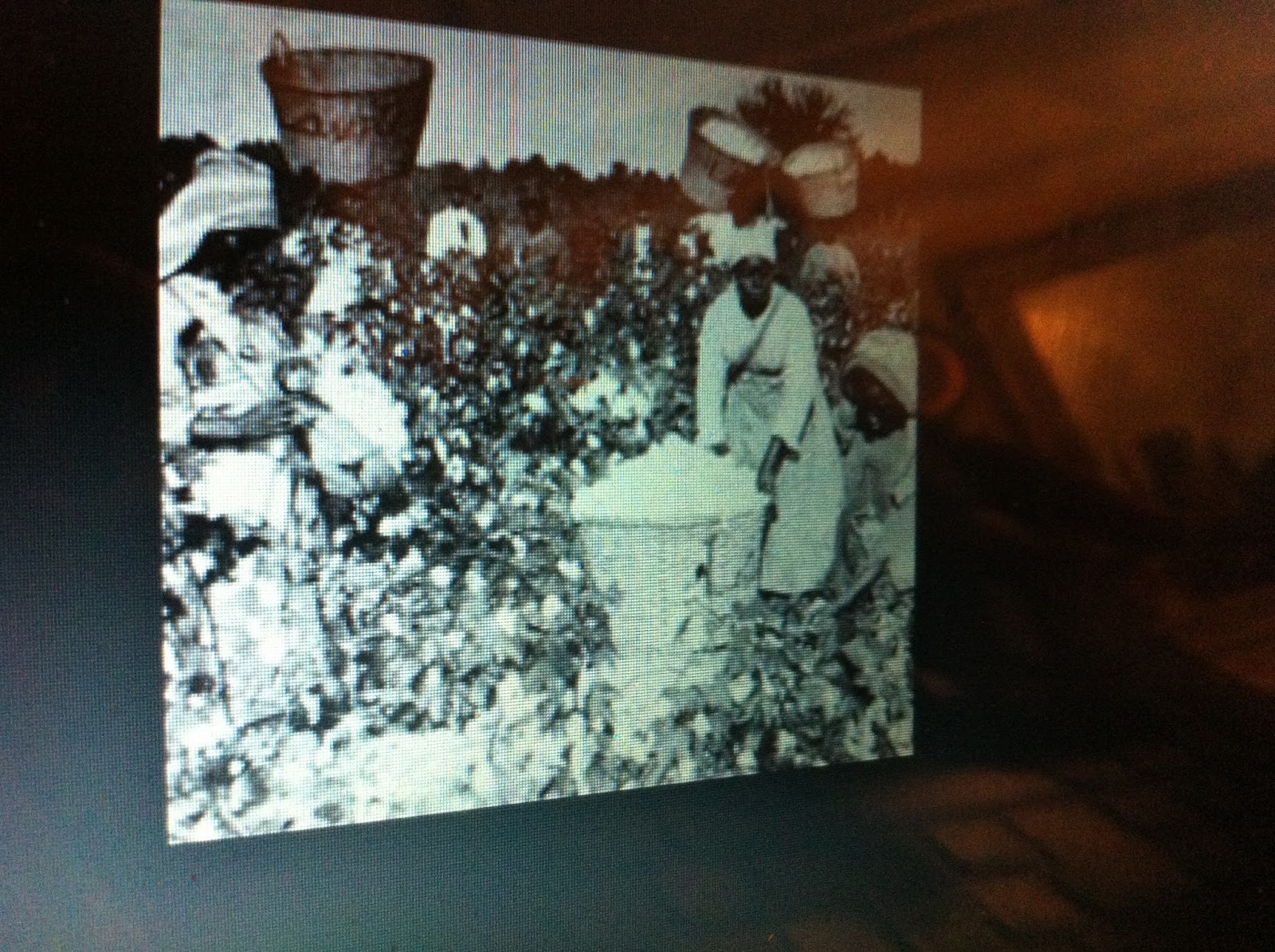 THE BLACK SOCIAL HISTORY:: BLACK SOCIAL HISTORY - PRE- CIVIL WAR ...