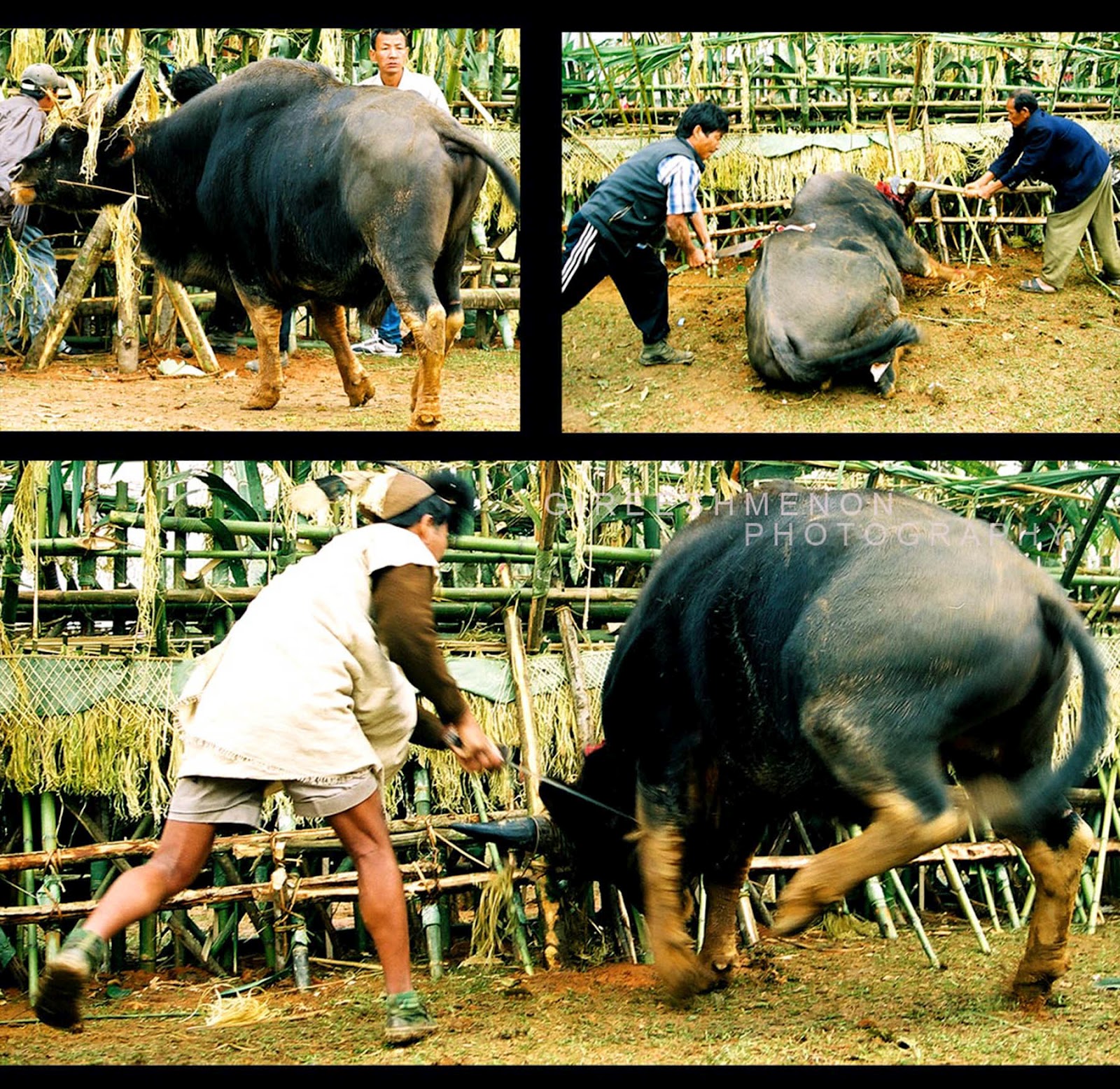 land and life through camera - Gireeshmenon: Arunachal Pradesh - Land ...