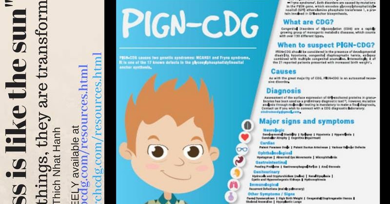 Teddy's Triumphs and Trials: What Exactly is CDG-PIGN?