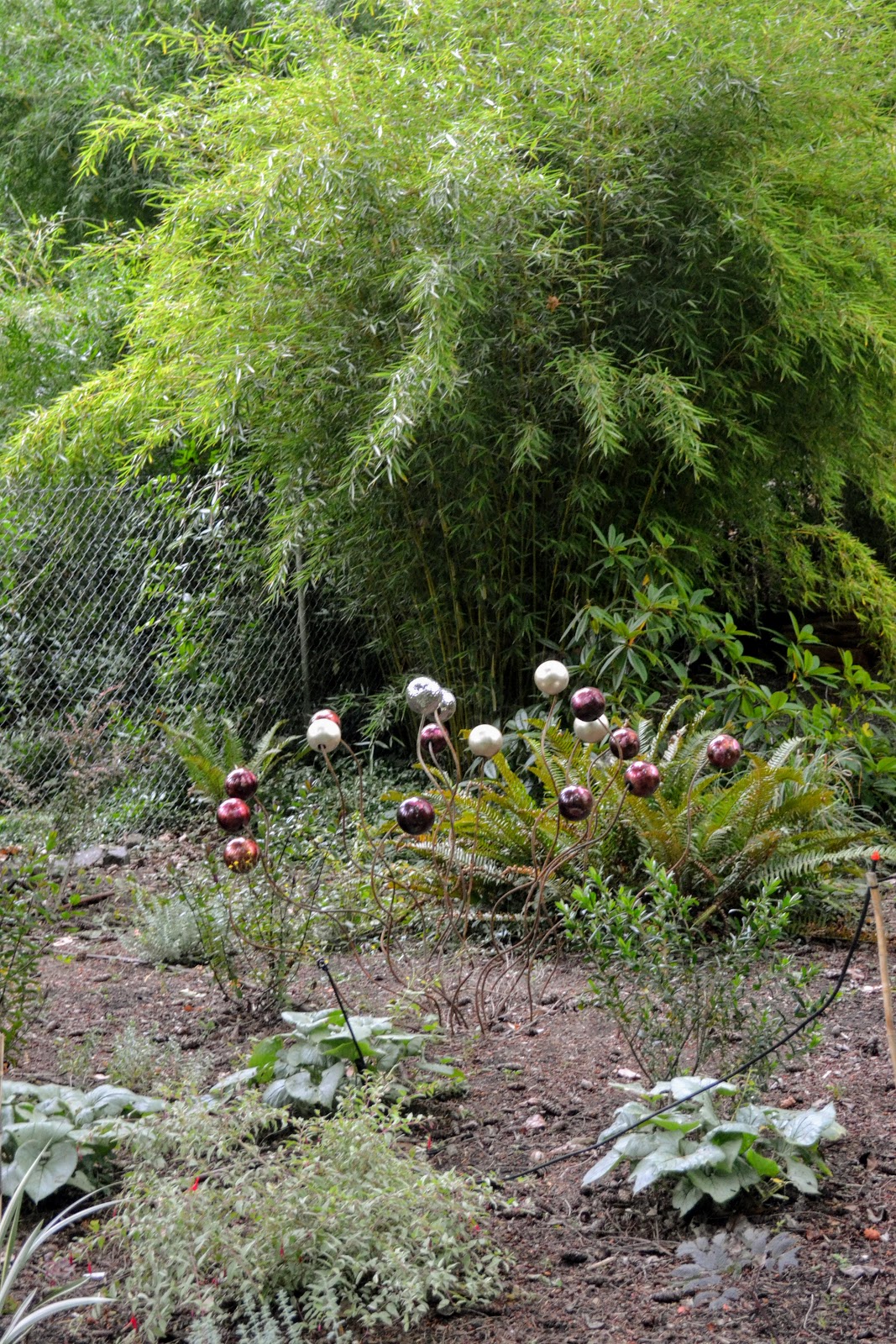 The Outlaw Gardener: Revisiting The Brindley Garden