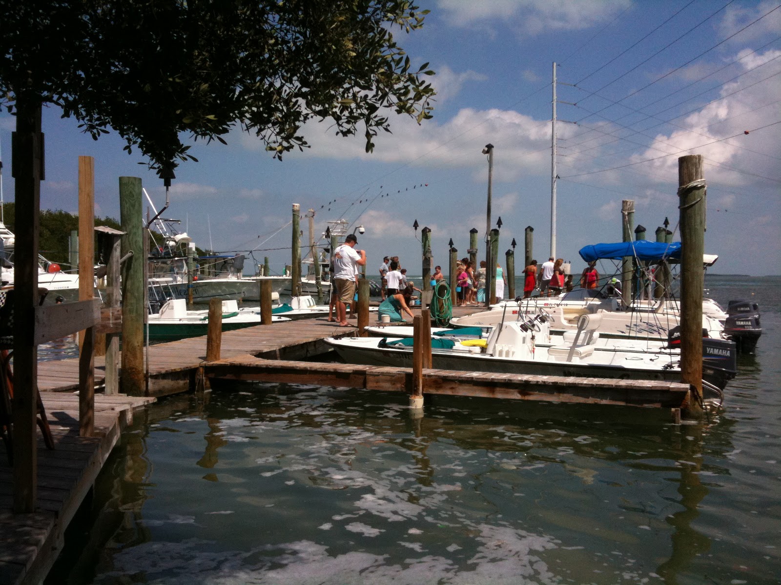 South Florida Guy: Long Key and Windley Key State Parks