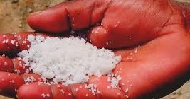 De todos los días: Humilde destino de sal