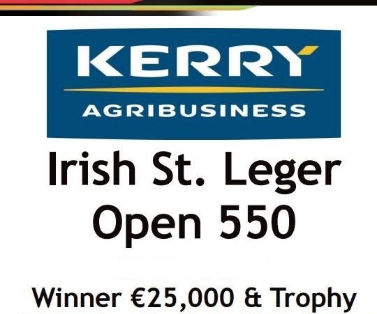 Greyhound Racing Grass Roots : ****2017 Kerry Agribusiness Irish St Leger