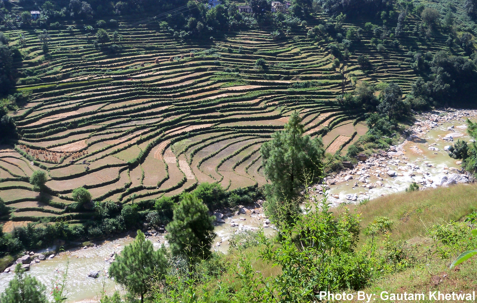 Uttarakhand Devbhoomi: Steps Farms of Uttarakhand