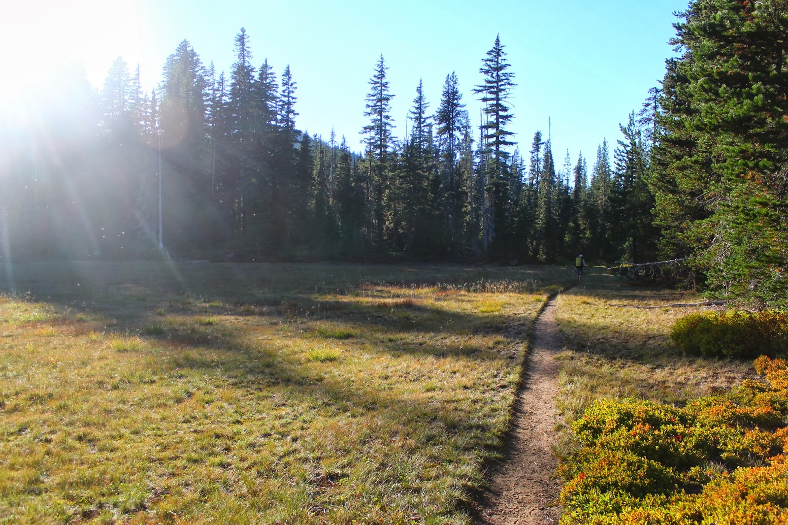 IN THESE WOODS: DAY 145: INDIAN HEAVEN WILDERNESS