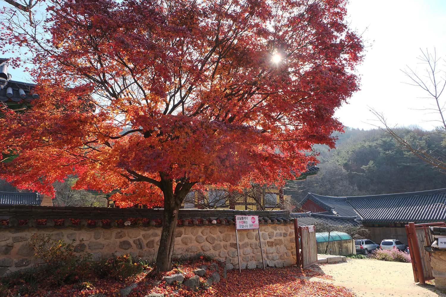 Geumsansa, salah satu kuil paling populer di Korea | Beyond Vacation