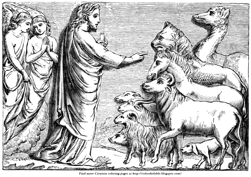 Color The Creation of Animals | Color The Bible