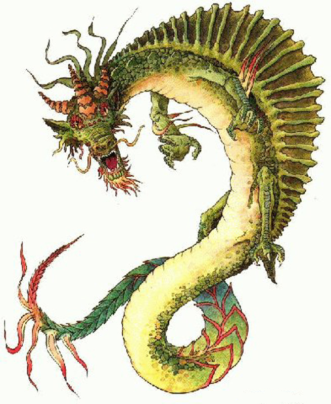 About Dragons, The History Of Dragons And Much More!: Dragon Photos