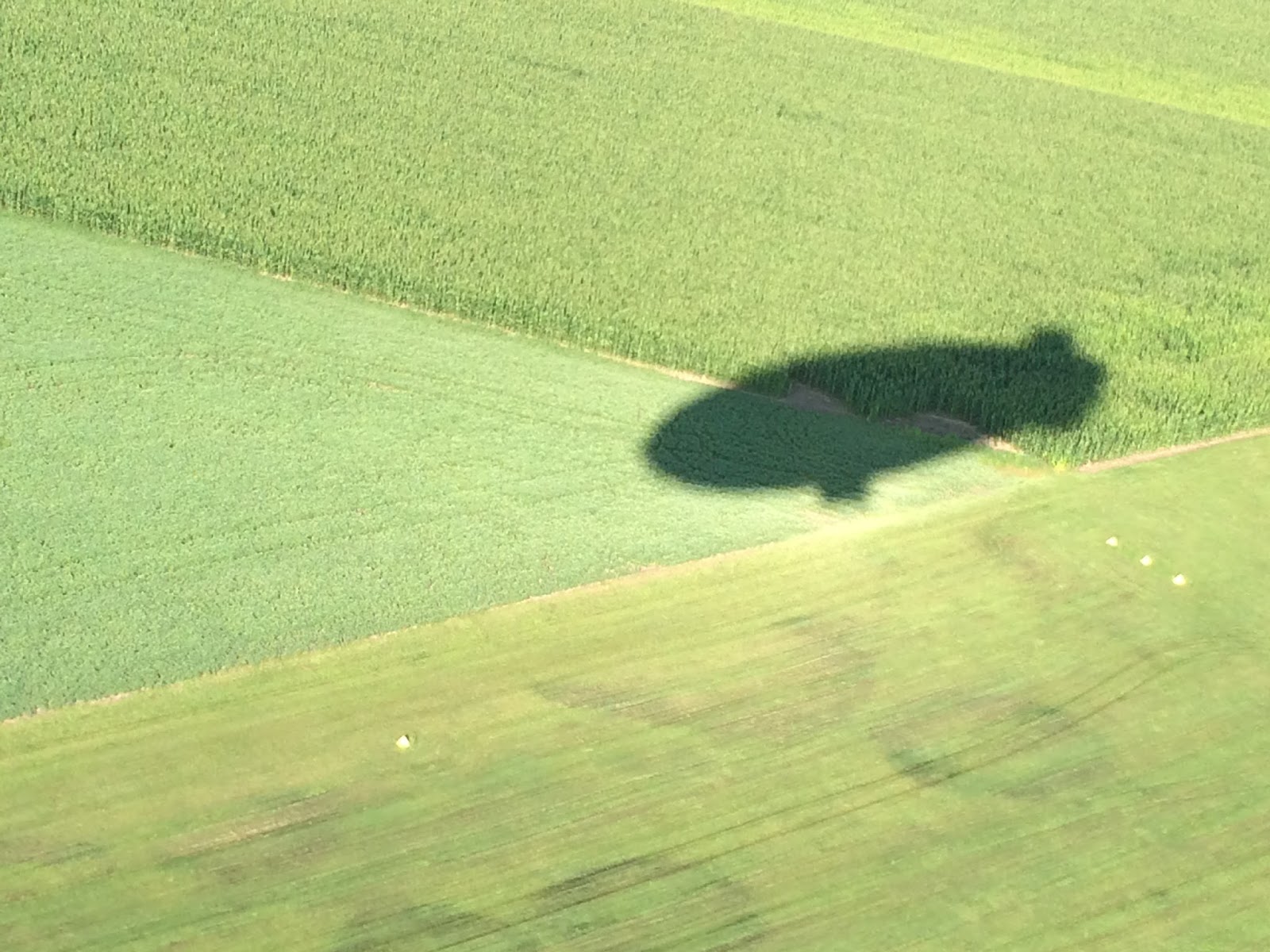 Damn Arbor: Hendrick’s Gin Hendrick’s Air Flying Cucumber Blimp Very ...